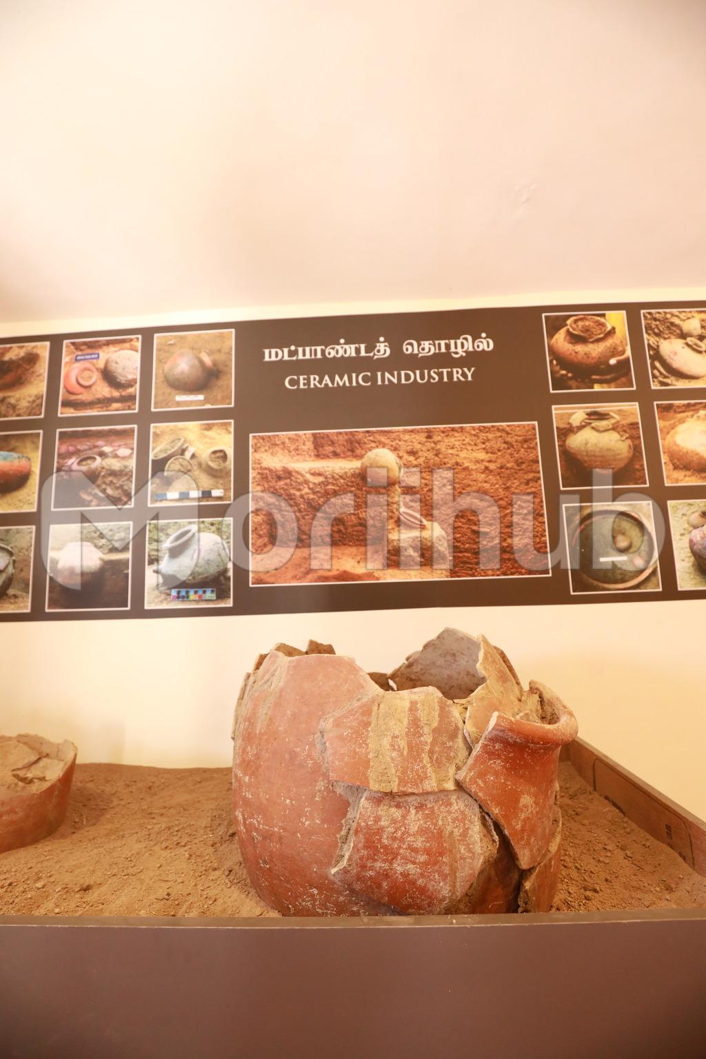 Gallery Display – MoriiHub