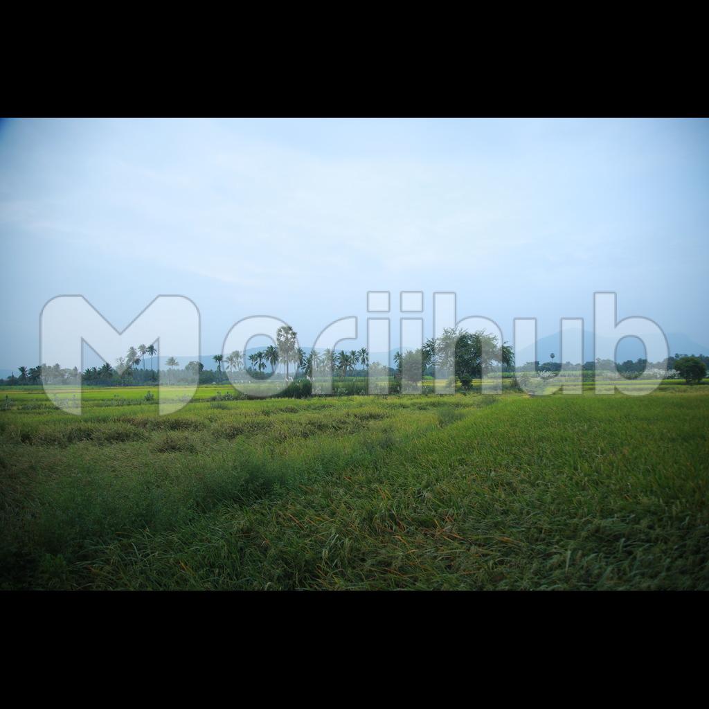 Calm Horizon – MoriiHub