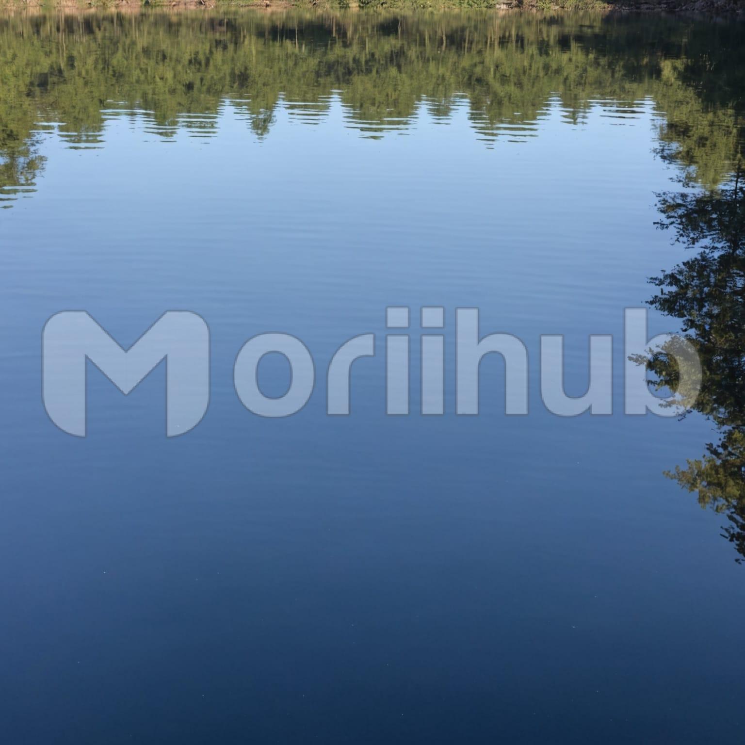 Nature Reflections – MoriiHub