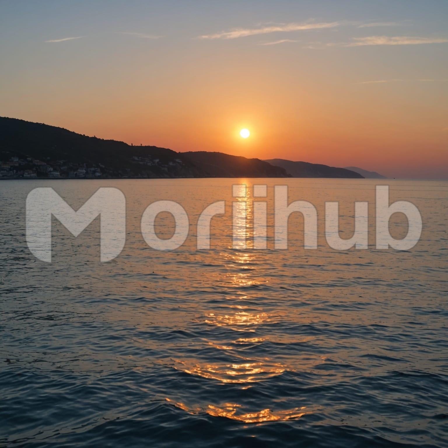 Ocean Harmony – MoriiHub